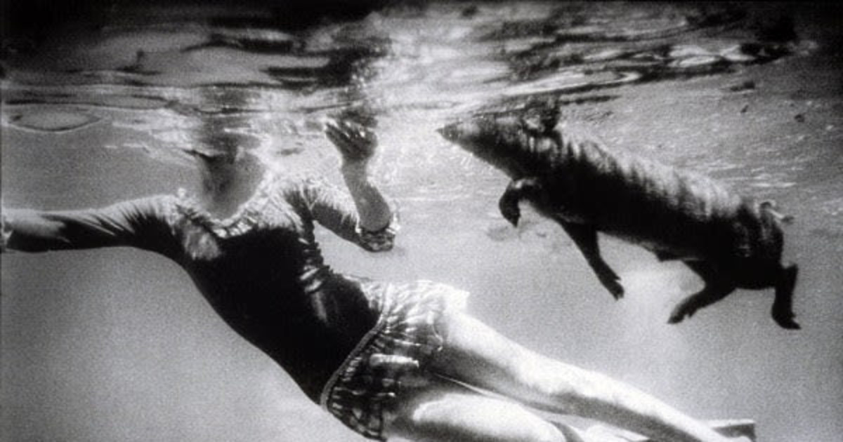 Beyond the Street: Garry Winogrand Photographs Austin in the 1970s ...