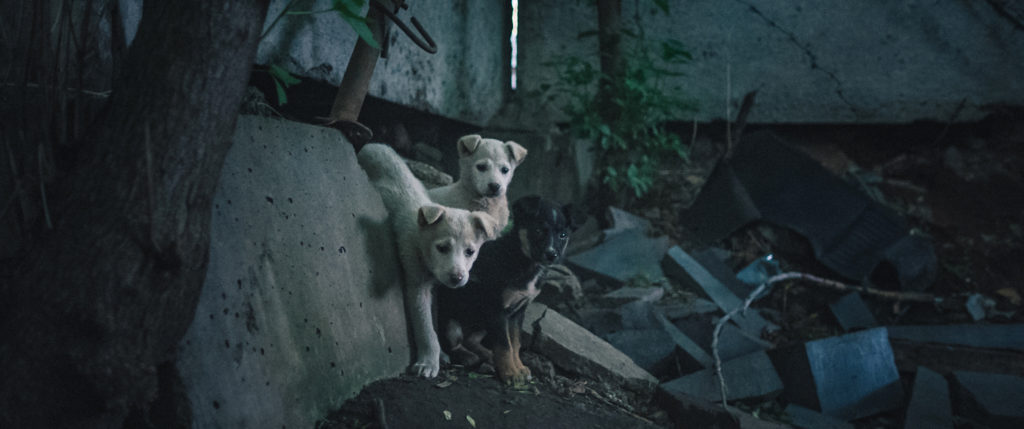 SPACE DOGS | Austin Film Society