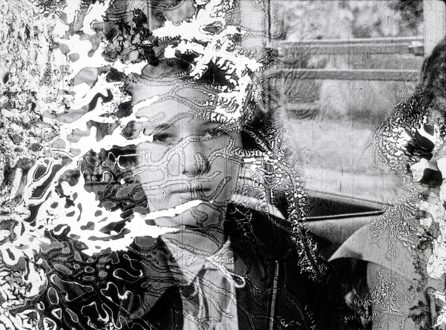 Austin Film Society Presents Works by Bill Morrison for its January ...