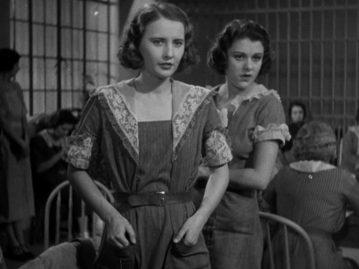 SURVIVING DESIRE | Austin Film Society